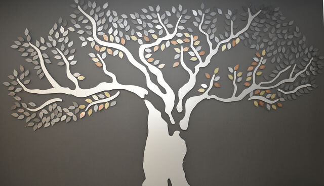 Legacy Tree | St Stithians College