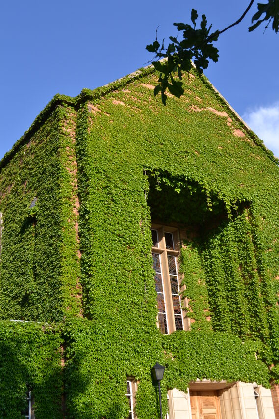 Methodist School | St Stithians College